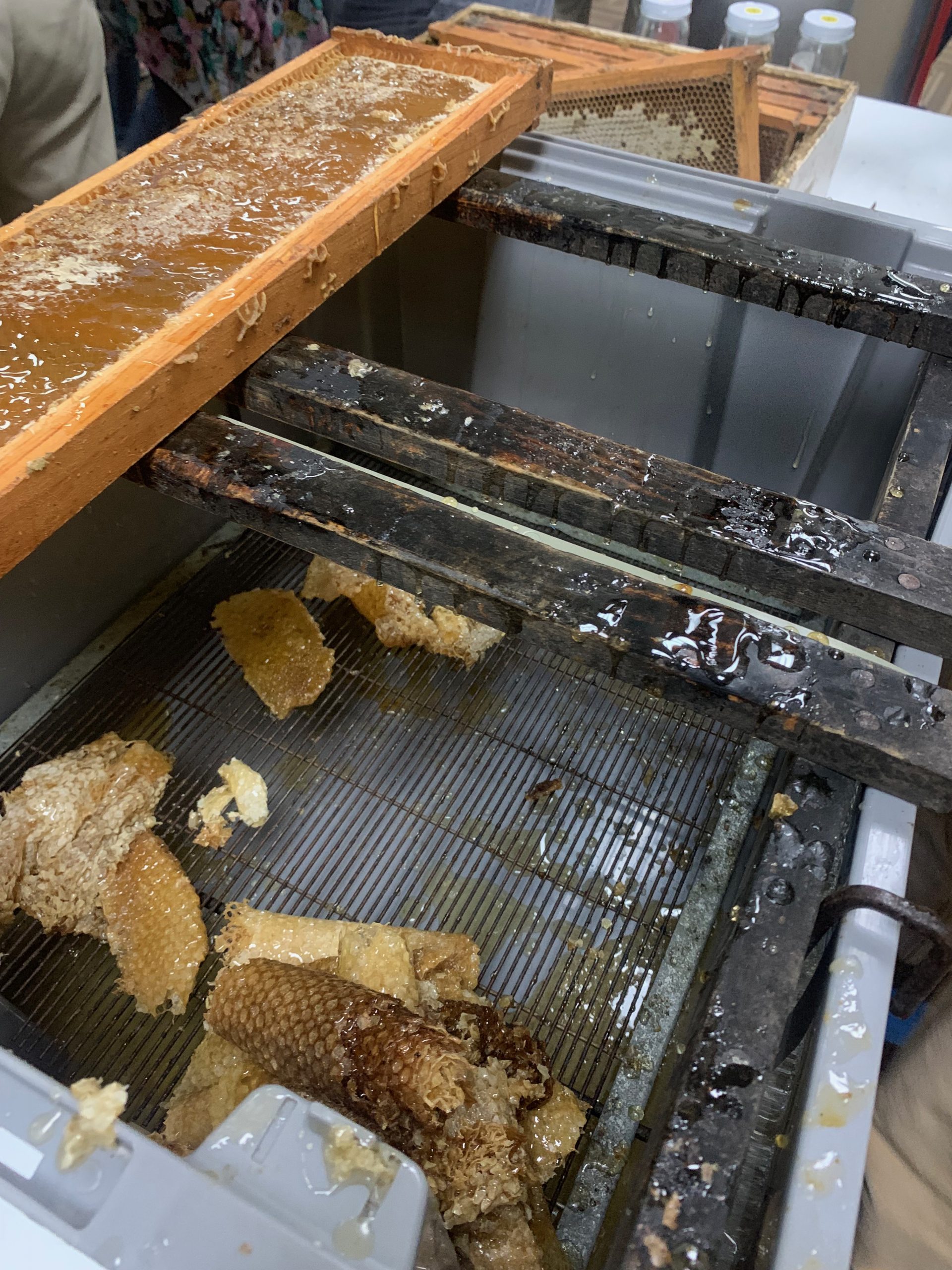Are Queen Excluders a Good Idea? - Backyard Beekeeping